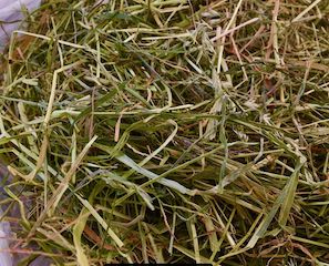 Heu - ein wichtiger Bestandteil der Ernährung